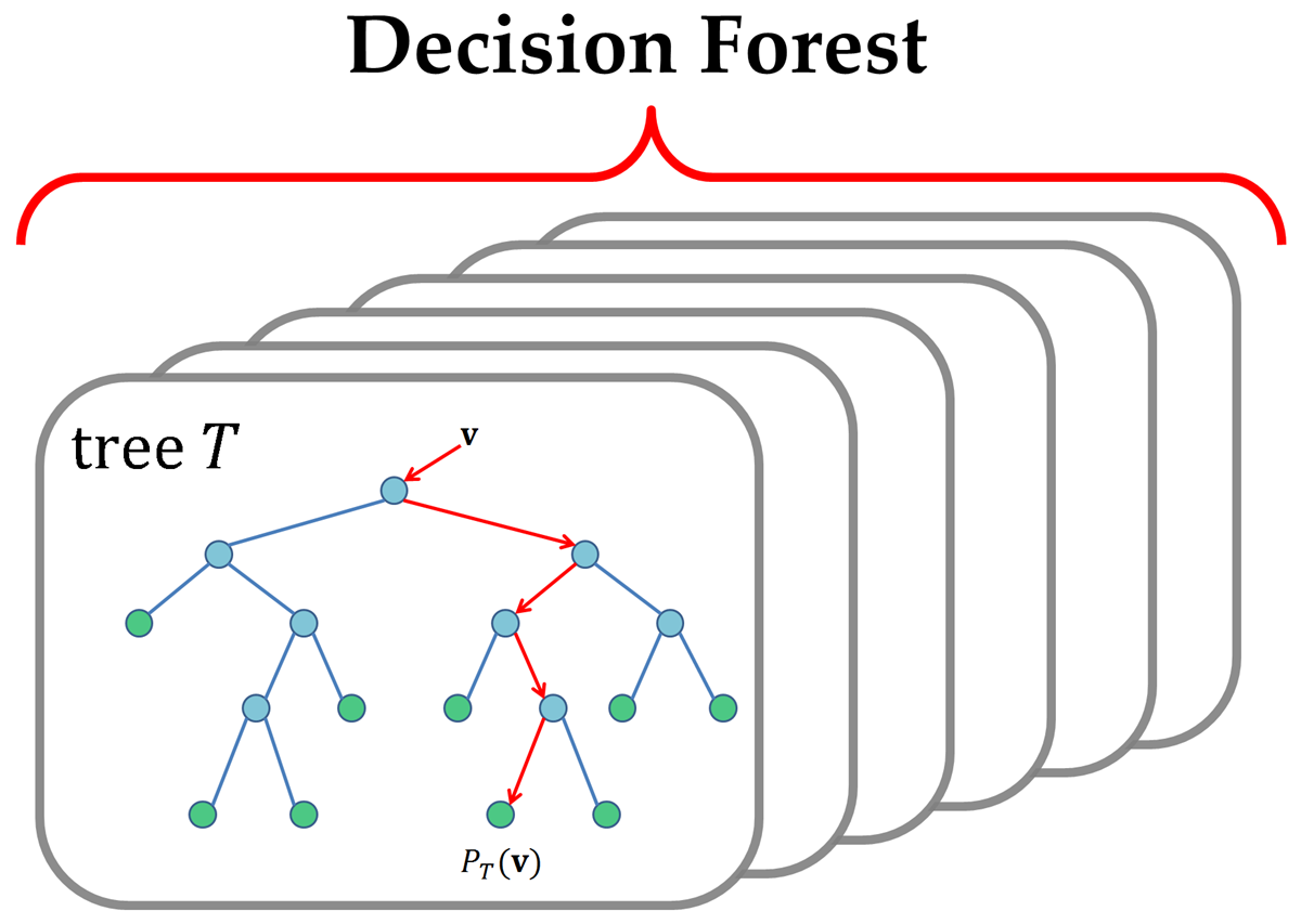 Introduction to Random forest. Introduction to Random forest | by Dimensionless | Medium