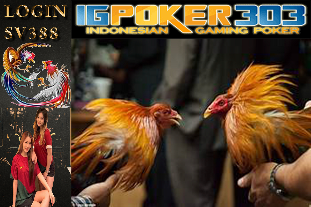 Sv388 Situs Daftar Sabung Ayam Sv388 Situs Wala Meron Online 24 Jam | by agen joker | Jul, 2023 ...