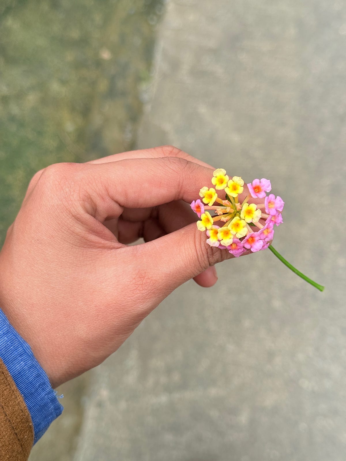 defeaning the voices by embracing the colors | by slaveofwriting_mijie ...