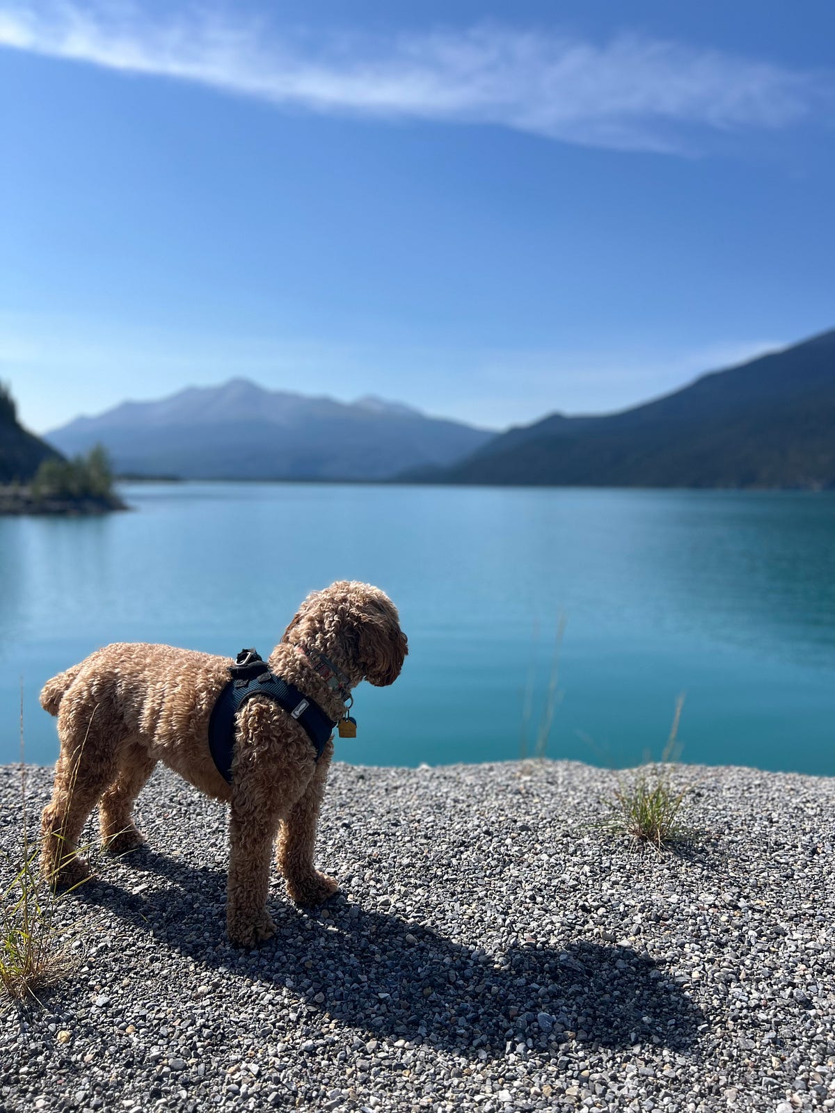 08: Into The Wild…. 1,600+ miles since our last check in... | by Miles ...