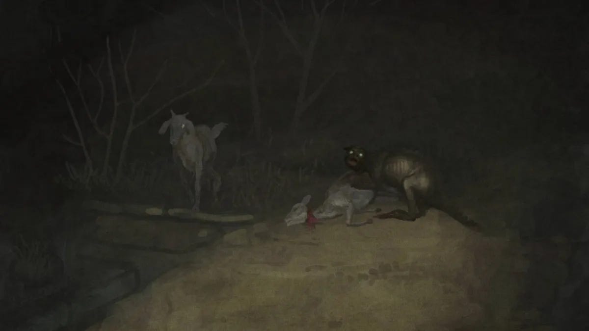 The Mystery Of The Chupacabra | Medium