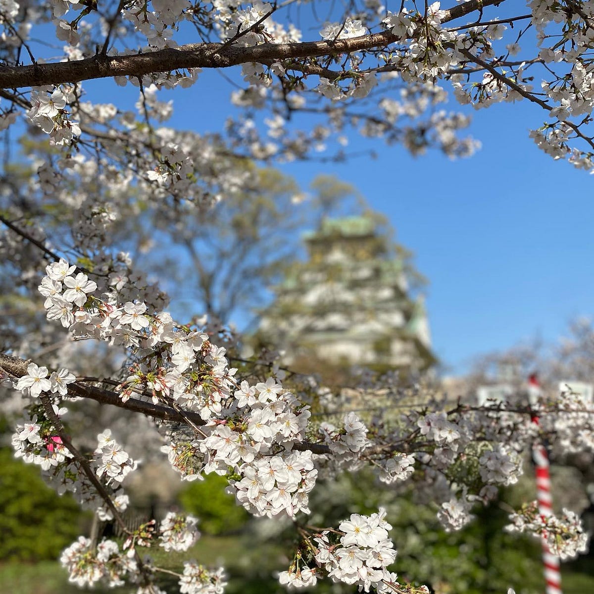 2023年3月20日〜3月26日の業務遂行状況 - Okada Office - Medium