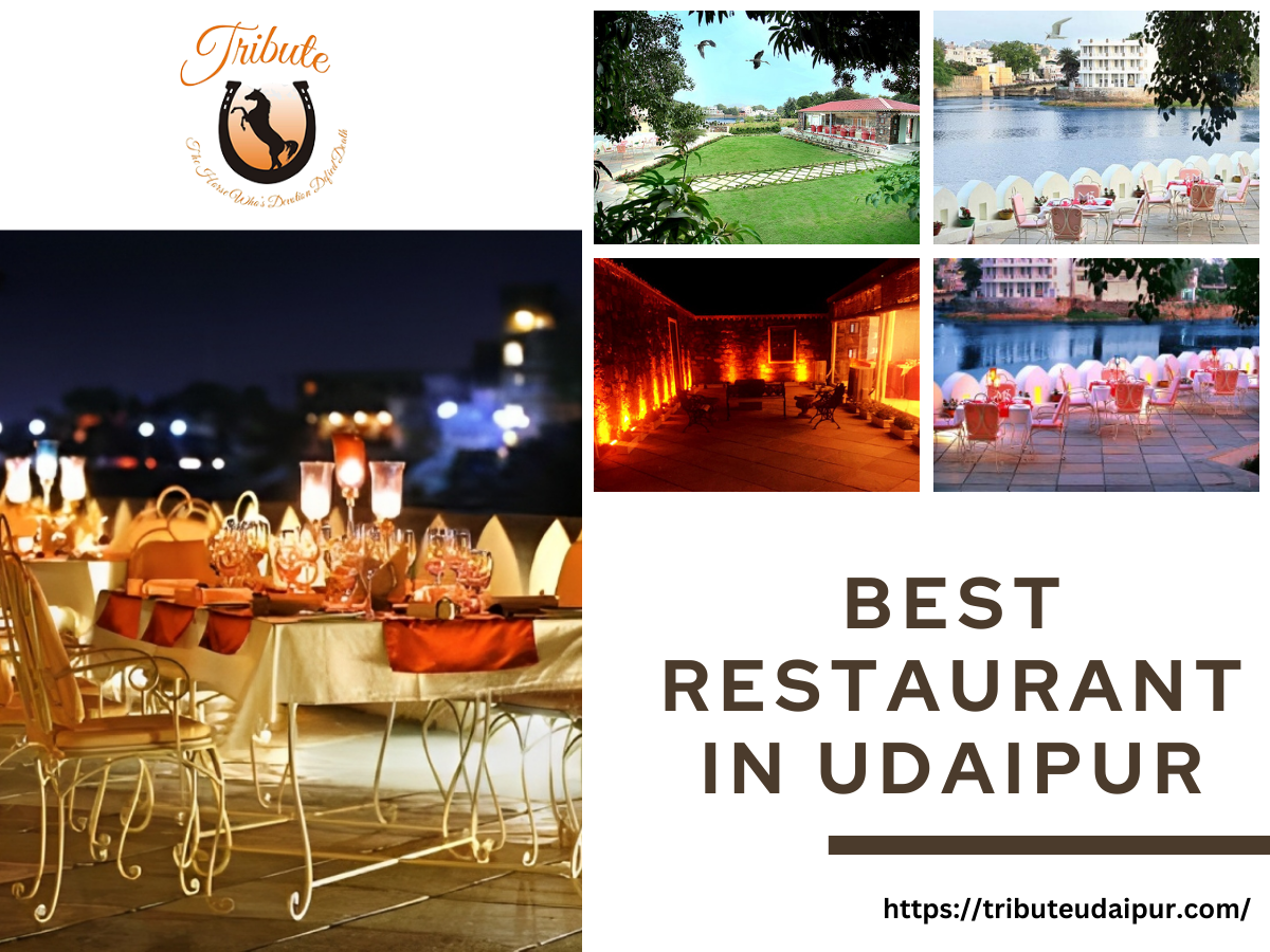 Finest Dining Place In Udaipur: An Unmissable Lake View Dining ...