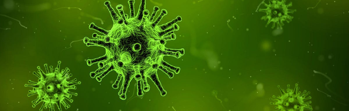 Infection Modeling — Part 3. Optimizing a vaccination strategy with ... Infection Modeling — Part 3. Optimizing a vaccination strategy with ...