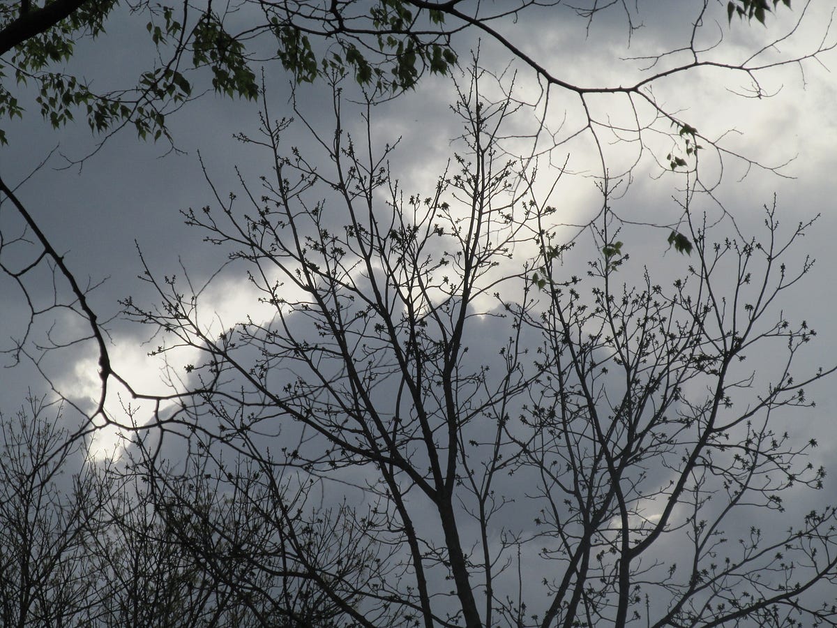Day 174 –Wind- Haibun Journey View From My Window | by Ada's Poetry ...