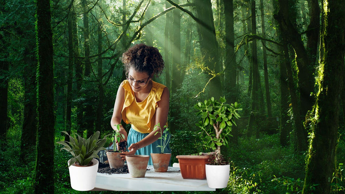 Can Plants Help us Feel Less Lonely? | by Kelly Baldwin Heid ...