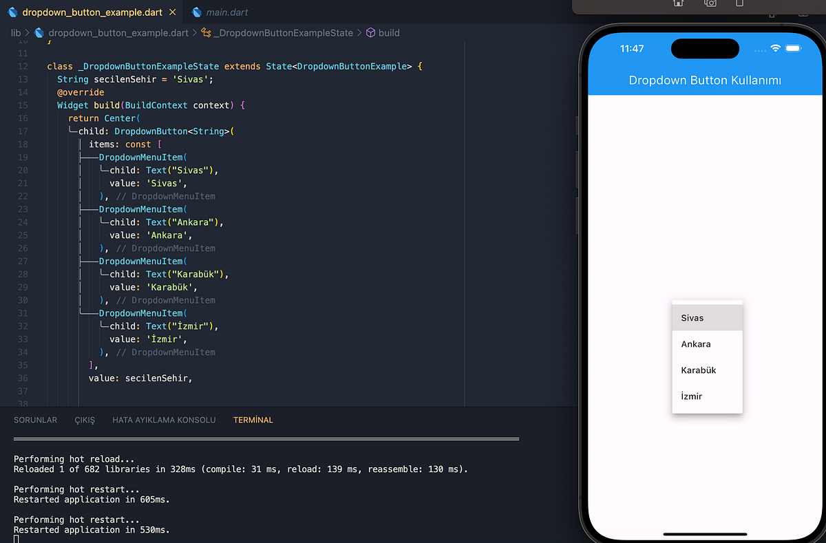 Flutter’da DropdownButton Kullanımı | by Doğukan Çağlakpınar | Medium