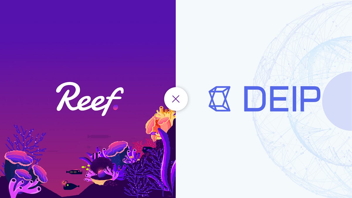 Reef Finance partners with DEIP Network to bring a unique class of DeFi ...