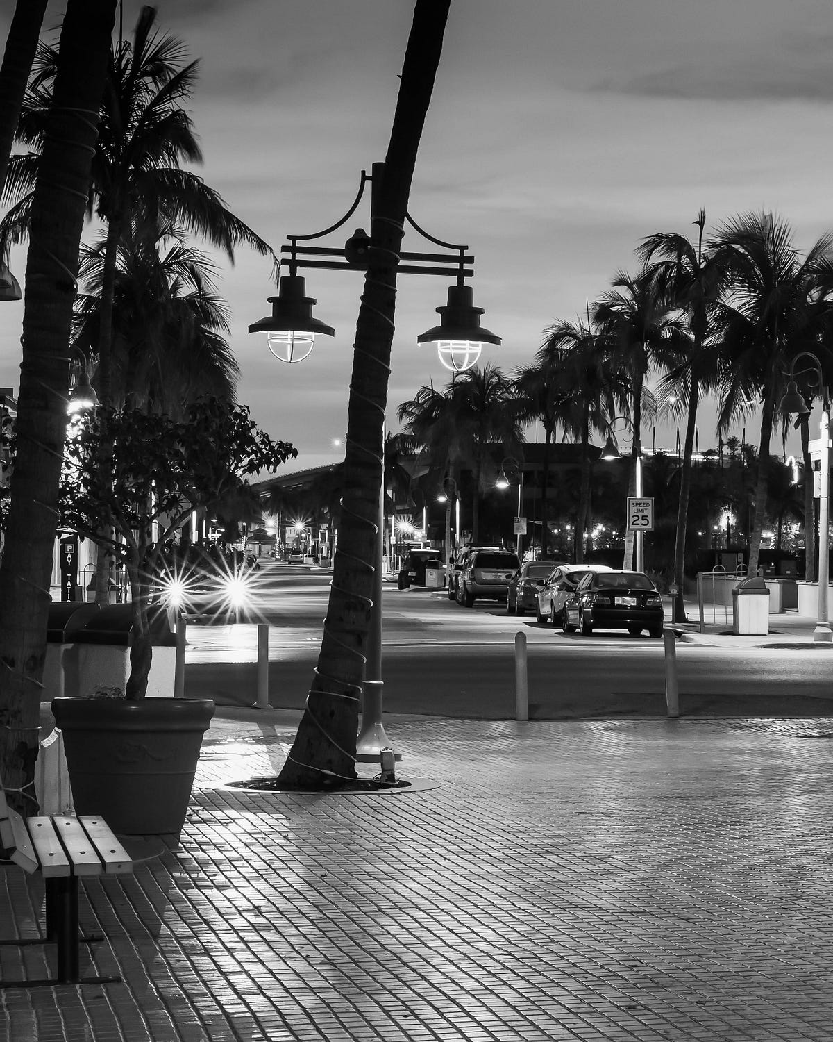 San Carlos Lights - Beach Dreams - Medium