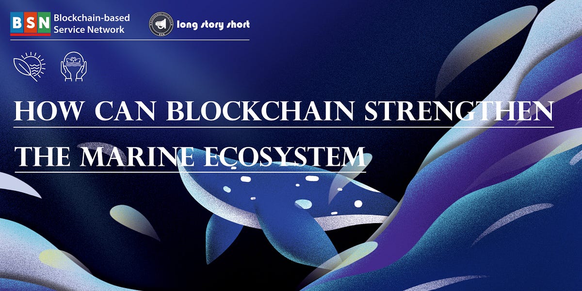 How Can Blockchain Strengthen the Marine Ecosystem | by BSN ...