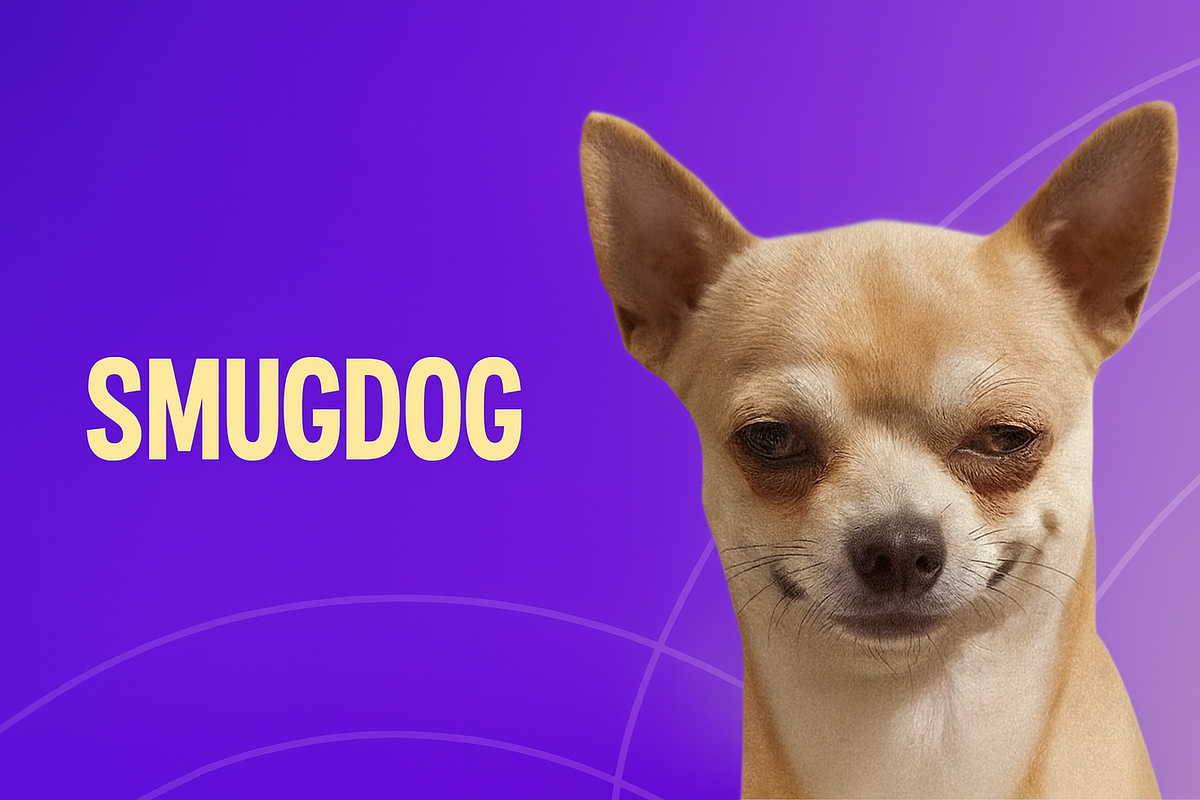 SmugDog: The Smuggest Dog on Solana - Sol Meme Factory - Medium