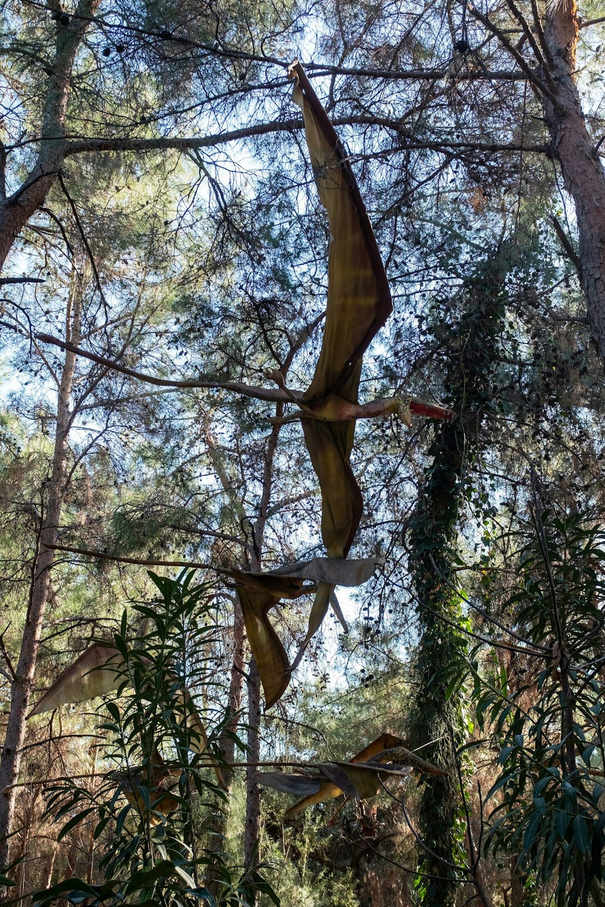 Bird… plane… pterodactyl?!. Living proof of the bird-dinosaur… | by Ann ...