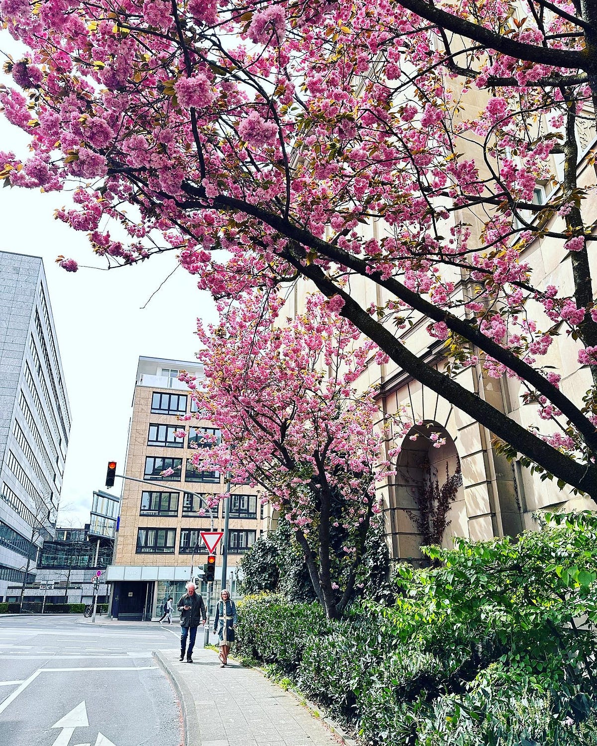 Springtime. Hits unexpectedly. During this winter… | by Lilian | Medium