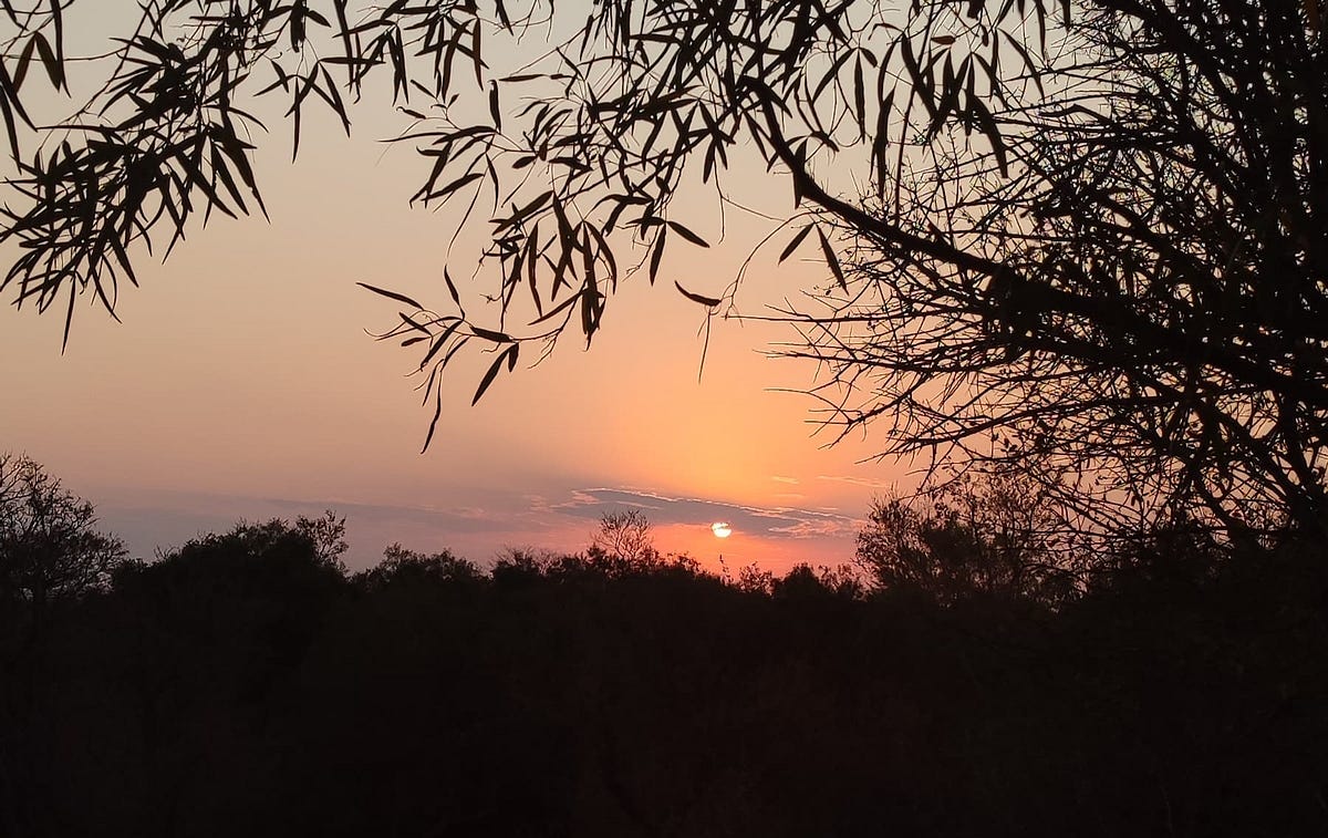 The Explorer. Picture taken from my recent camping… | by Roxanne Holman | Medium