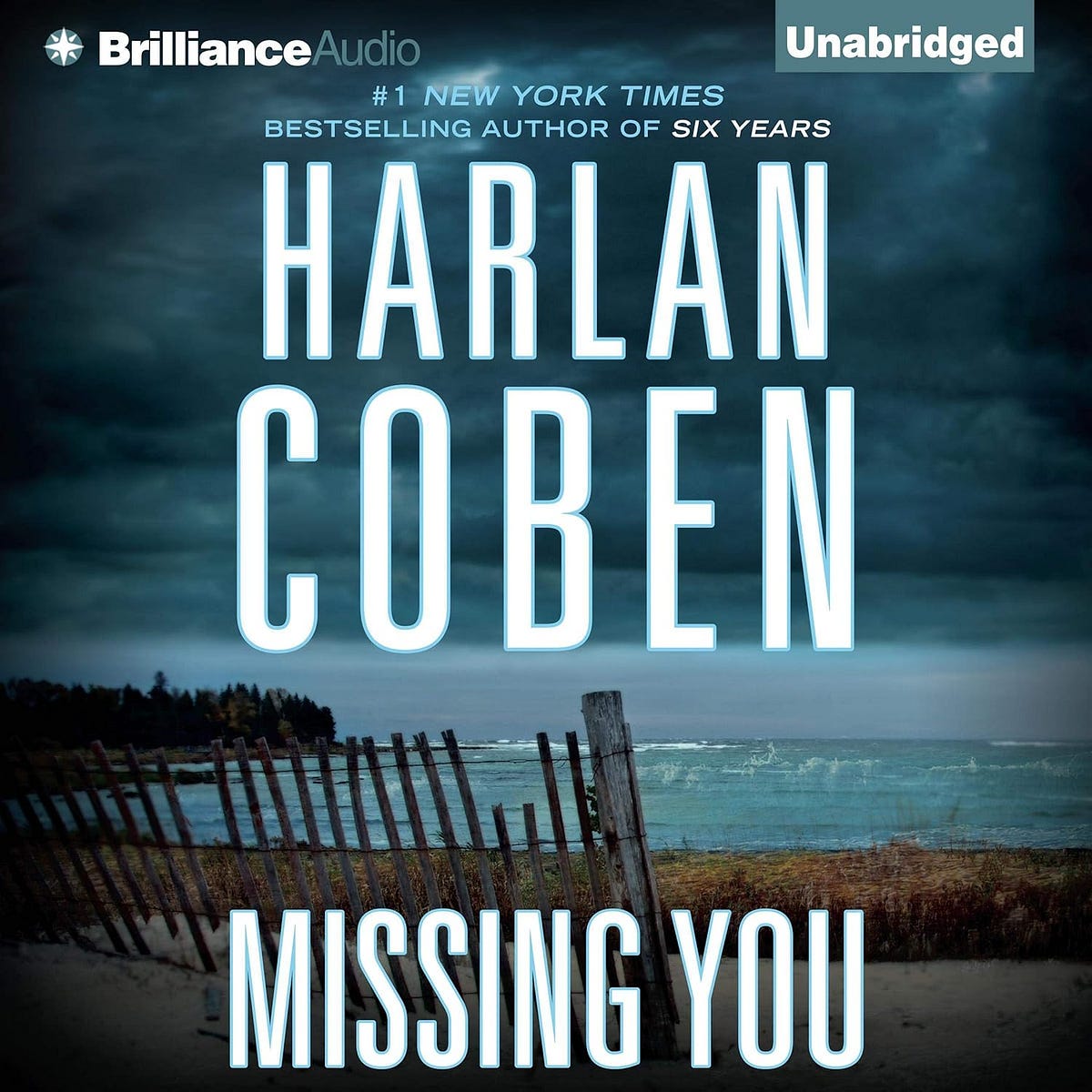 Book Free: Missing You by Harlan Coben | by Jereny Markenz | Jun, 2024 ...