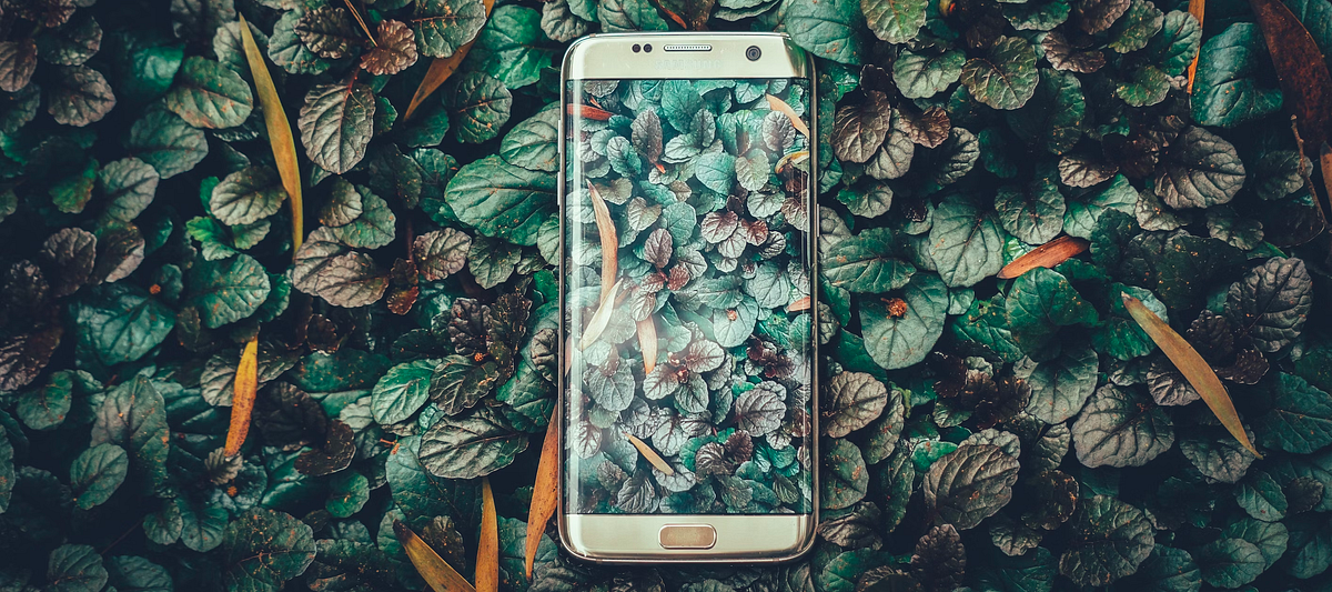 Green UX Writing: Merging User Delight with Environmental Care | by ...