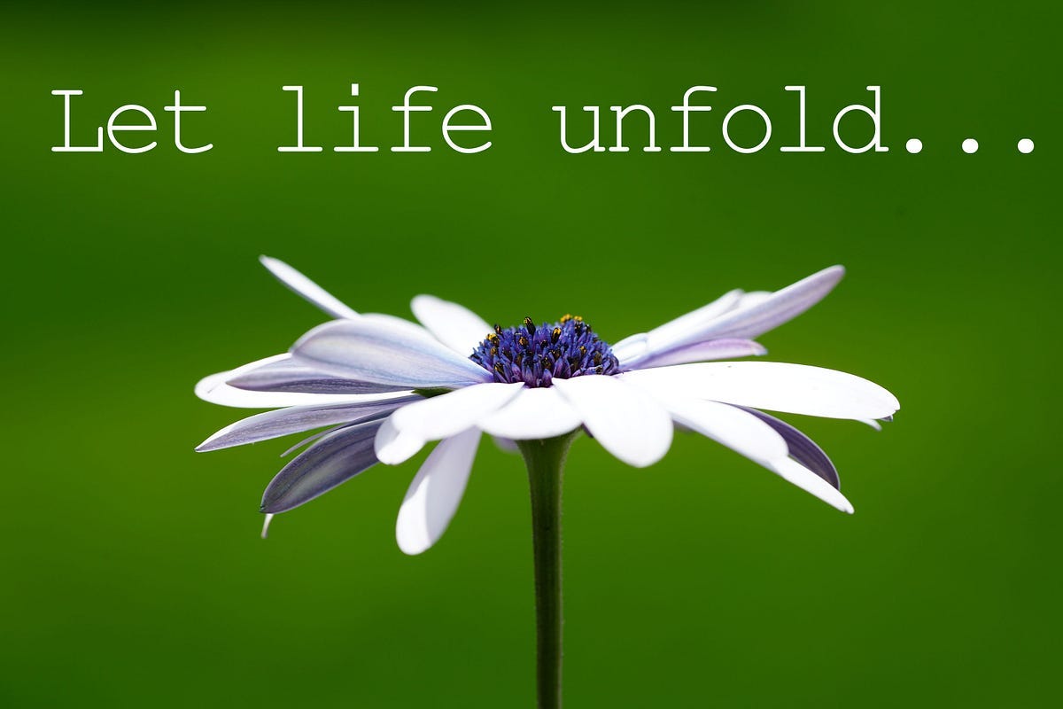 Let Life Unfold . Because sometimes the best moments… | by Divya ...