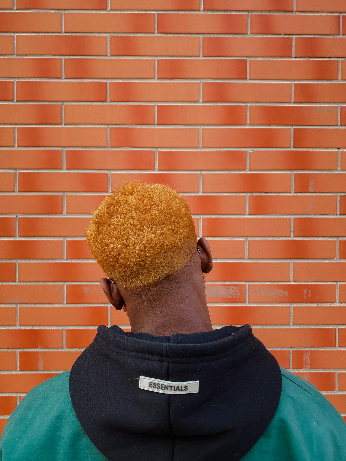 An Instinct for Self Preservation: An Extension of the Elevation of ...