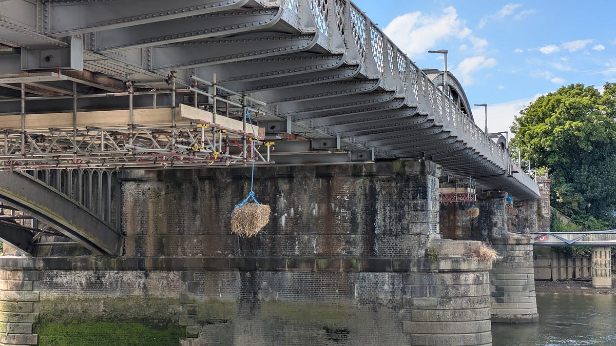 The Bale of Straw Strikes Again!. This time it’s under Barnes Bridge | by Ella Read | Never Stop ...