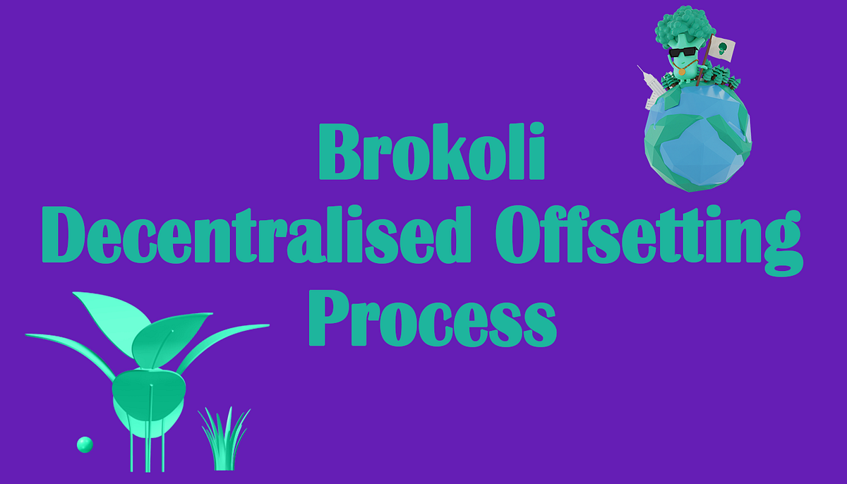 Brokoli Network Decentralised Offsetting Process😍 | by Ruvini Uthpala | Medium