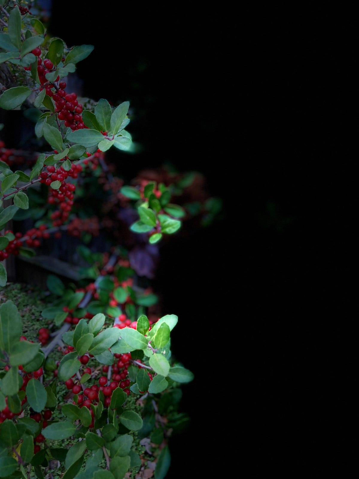 The Concrete Planet. A Concrete Planet | by Sandra Fox Murphy | Medium