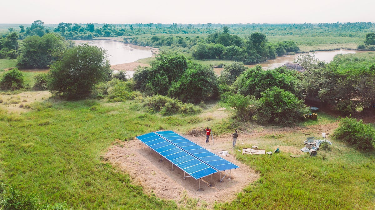 SolarCity, Tesla, and Virunga. Building Solar Micro Grids for the… | by ...