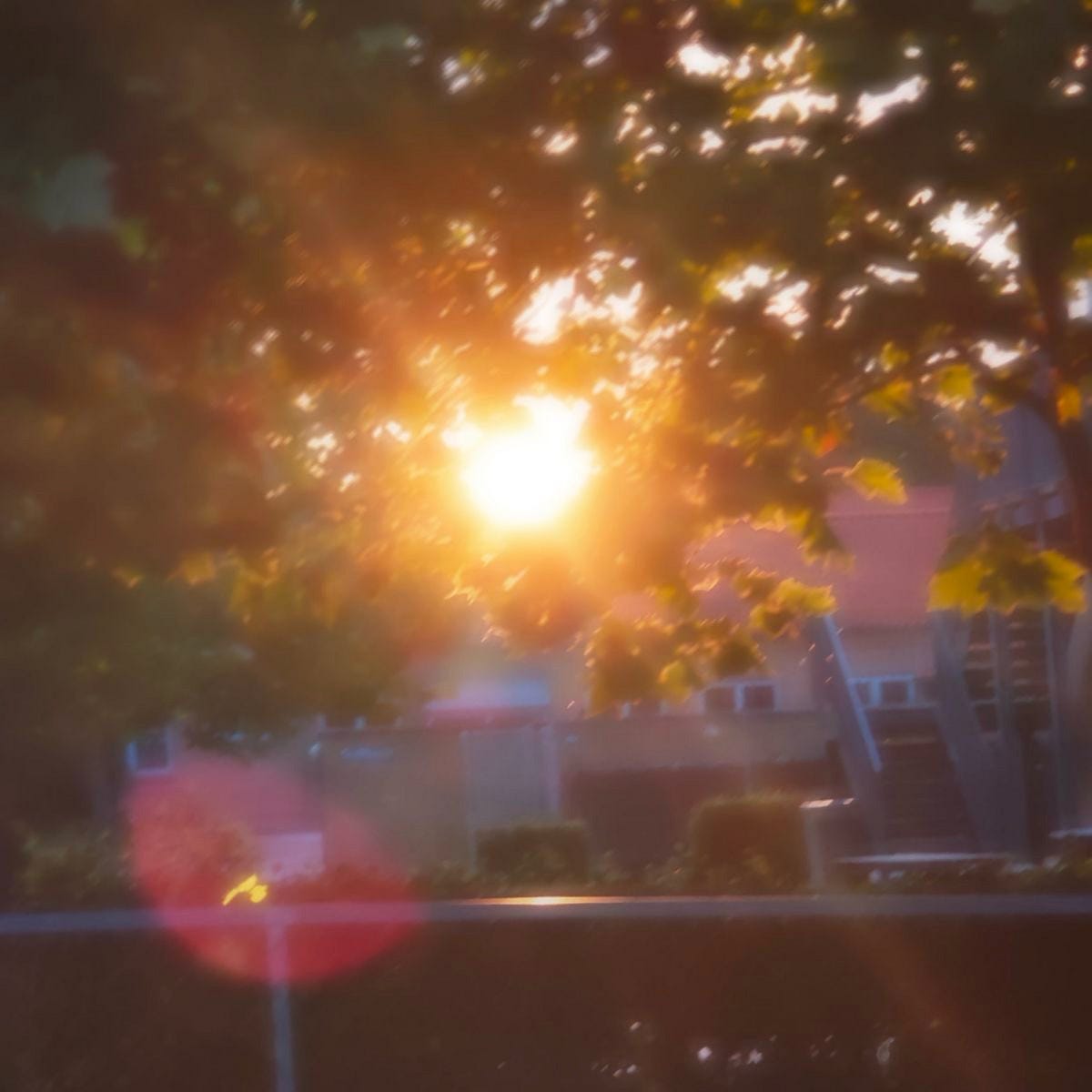 Nostalgia. Hello, Friend! | by Mikayla Barigboma | Medium