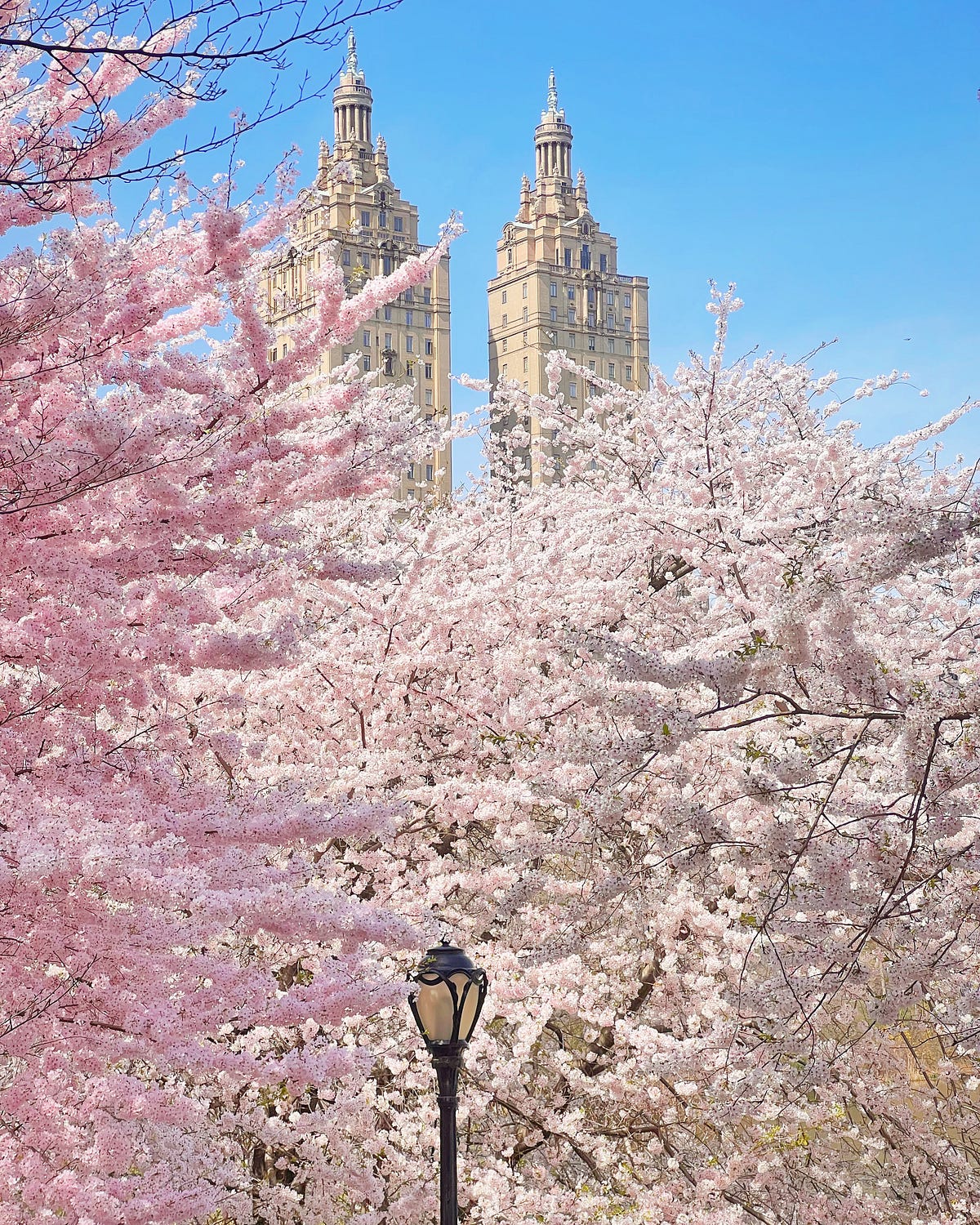 Spring Weather in New York City. Spring is a wonderful time of the year ...