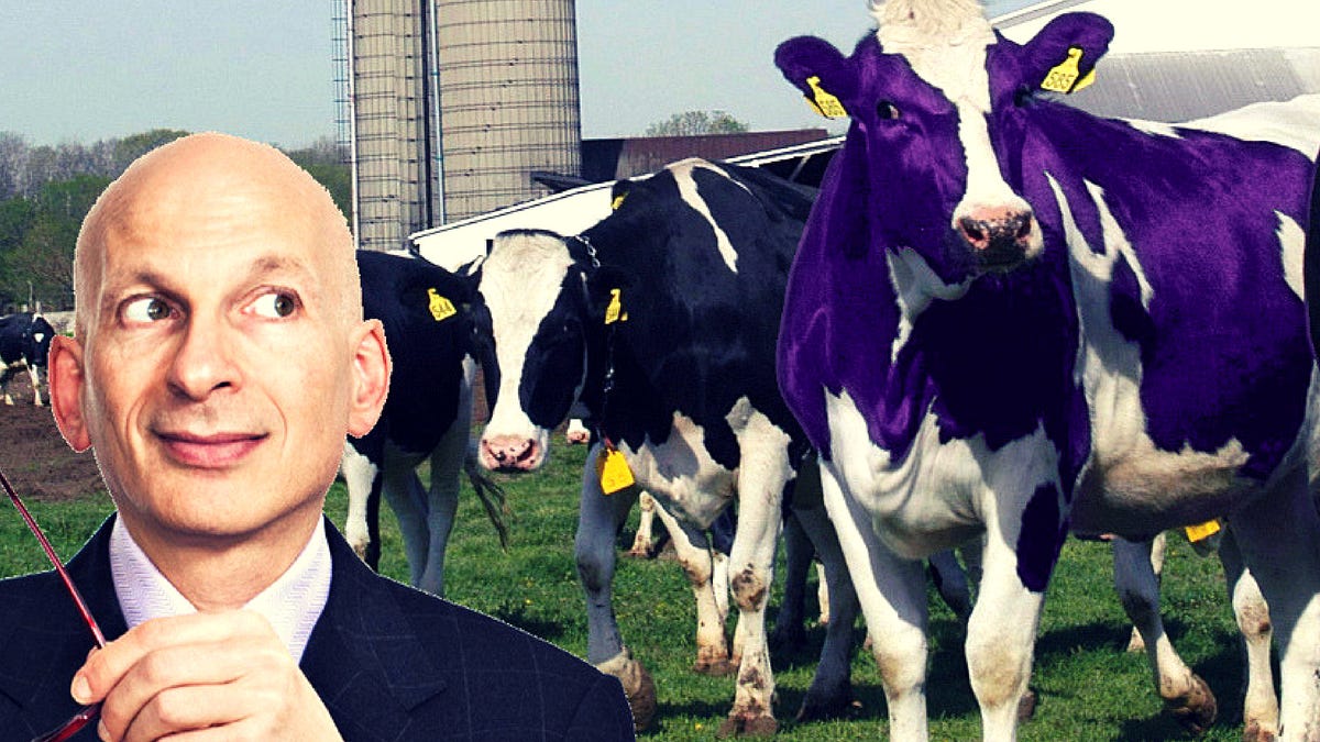 The Main Points From Seth Godin’s book Purple Cow | by Legacy Business ...