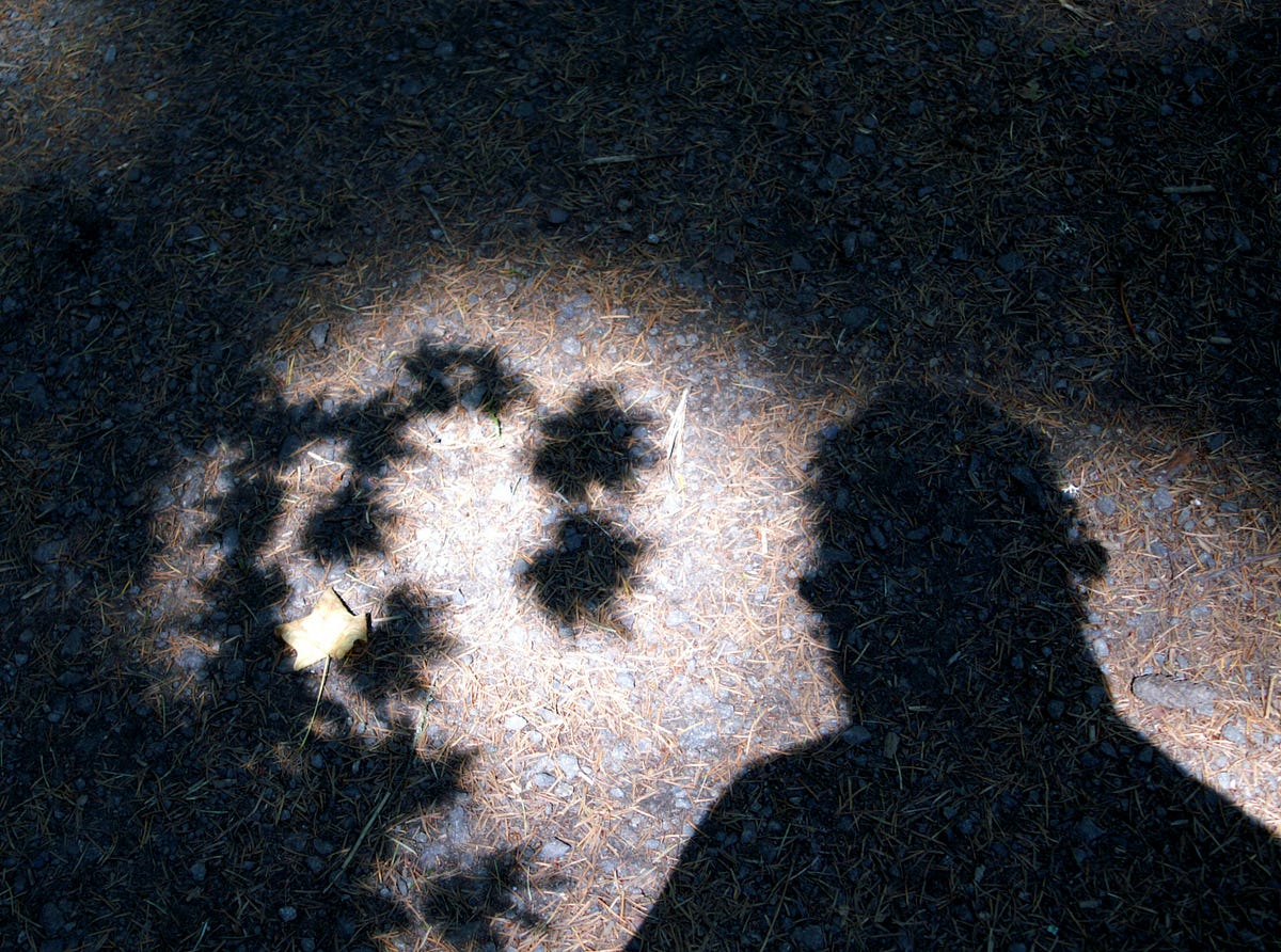 Love Between Shadow and Soul. “I don’t love you as if you were the ...