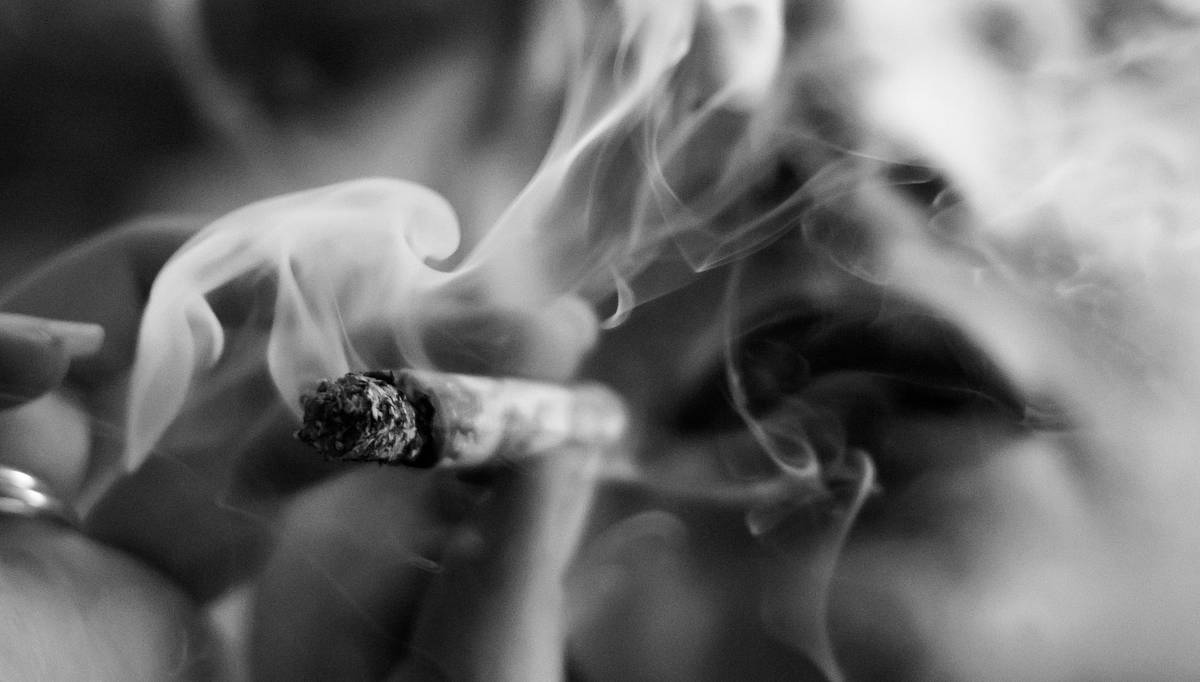 Weed Makes You Paranoid? Good.. Weed paranoia gets a bad wrap, and I ...