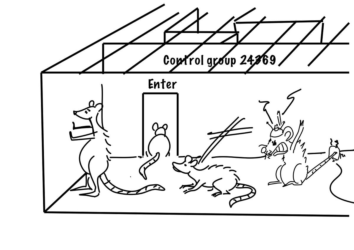 Acrobatic lab rats. A scientific approach to educational… | by Rob ...