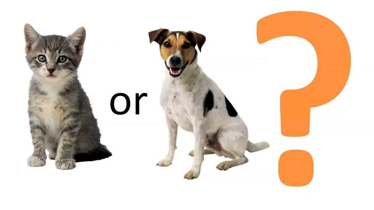 Dog vs Cat Classifier using PyTorch | by Krishna Sashank Madipally | Medium