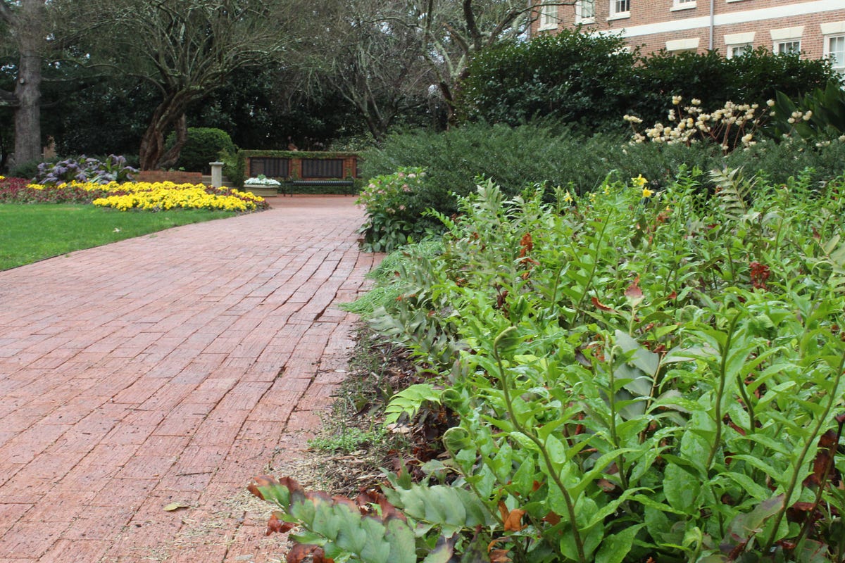 The Grounds We Walk On: How groundskeepers and landscape architects ...