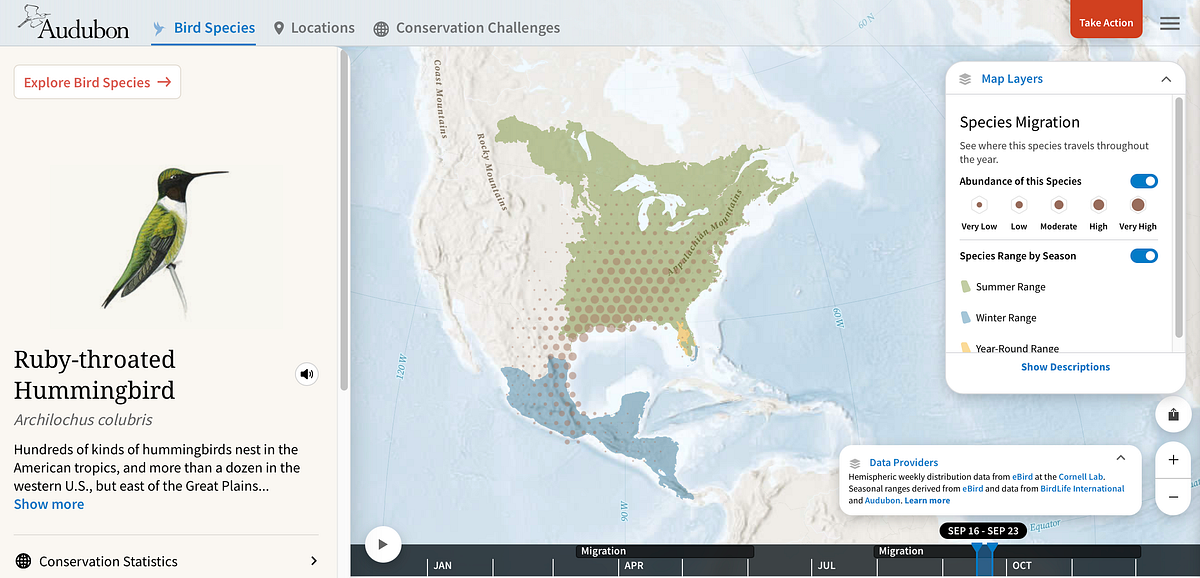 Use Audubon’s Bird Migration Explorer to Track Bird Migrations in North ...