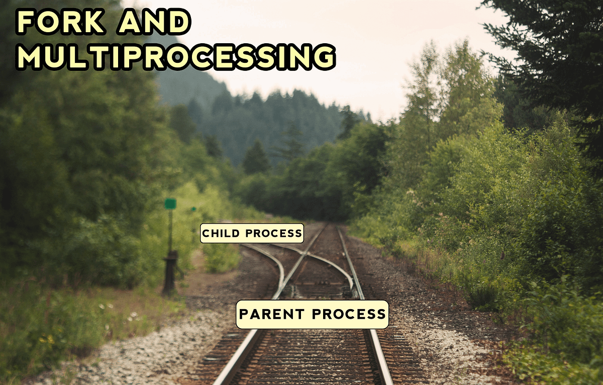 What the Fork Does fork() Do?. Why is multiprocessing important and ...