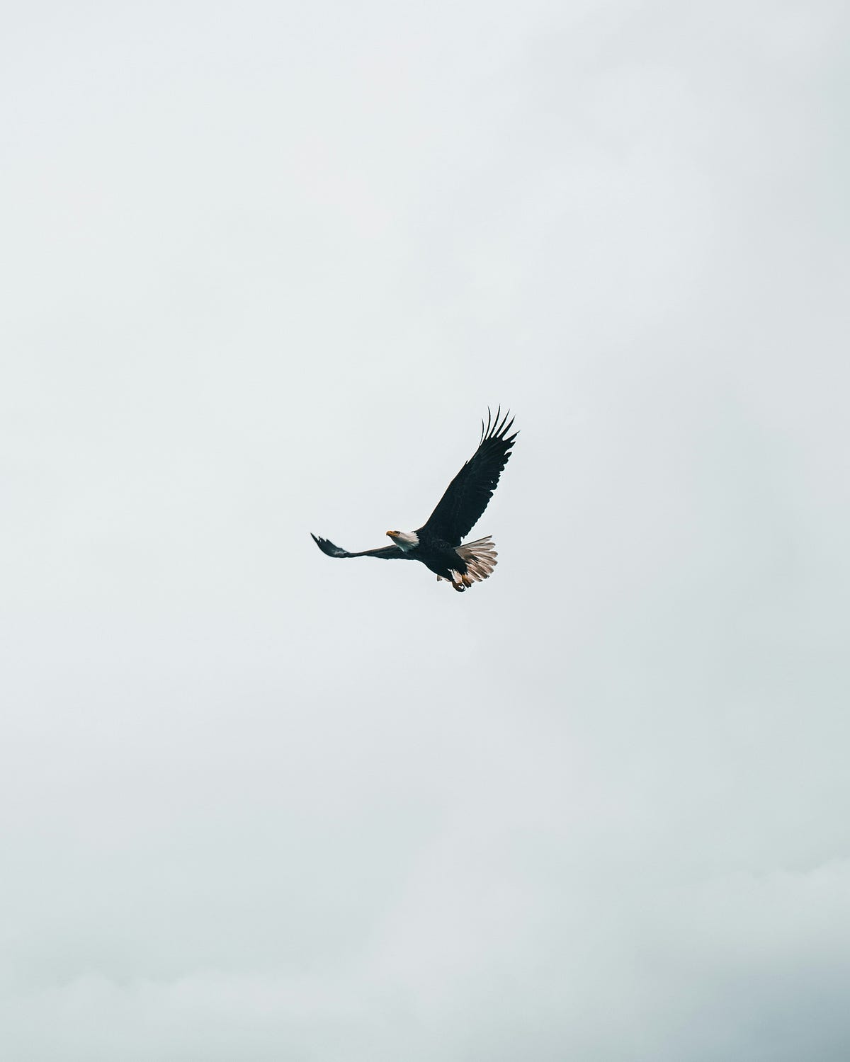 Breaking Free. My Journey to a Remote Design Career | by Magdon Meyoki ...