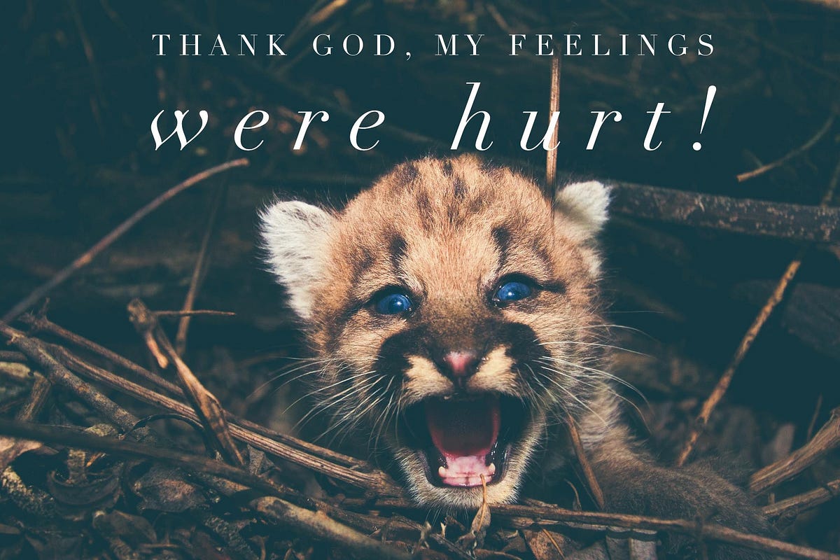 Thank God, My Feelings Were Hurt! | by Dominick Butler | Medium