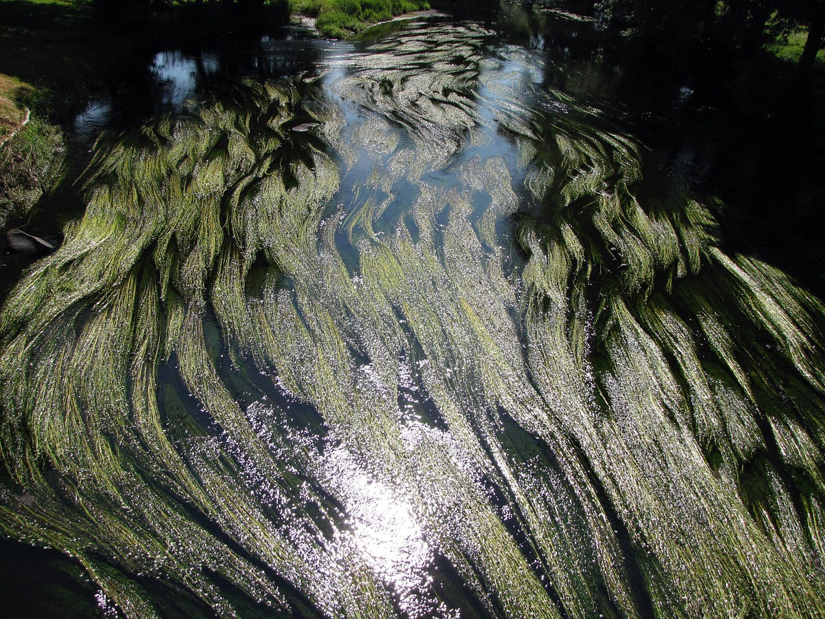 Stingaree Bay: Chapter 13. Riverside | by Dr Steve Fendt | Serial ...