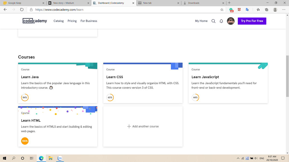 I STUDY CODE IN MY FIRST YEAR - Hachiman Hikki - Medium