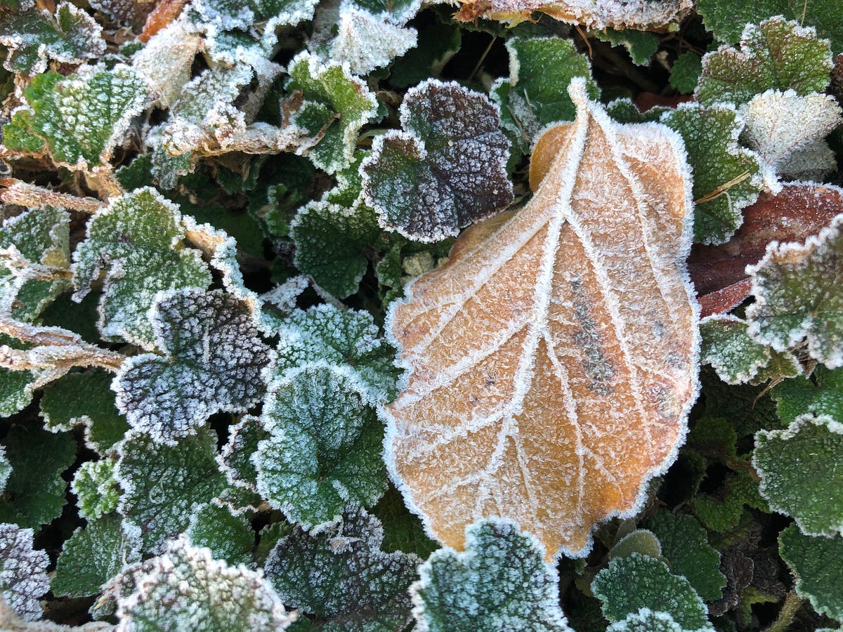 Haiku 341 - Writers on Fire - Medium