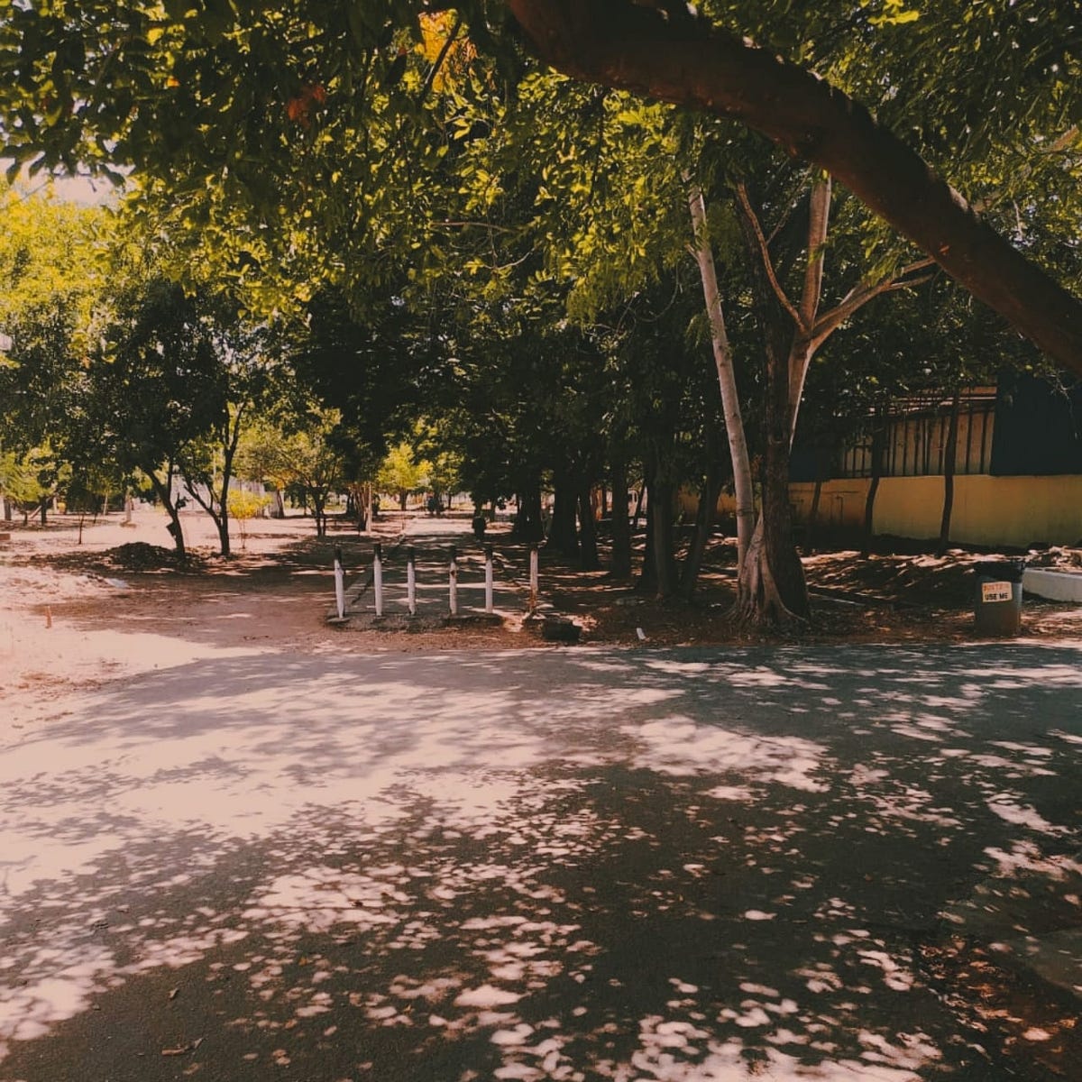 Autumn in polaroid | by Madhushree N | Aug, 2024 | Medium