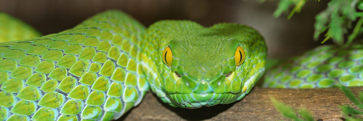 Python Beyond The Basics Ii Ipython Encapsulation And Args By M0etaz Medium