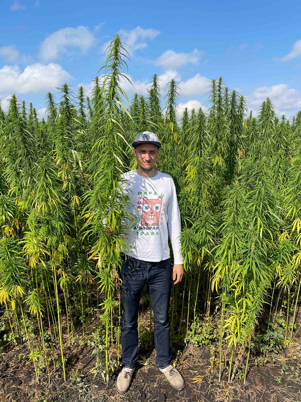 39th birthday. Analysis and plans. | by Yaro | Medium