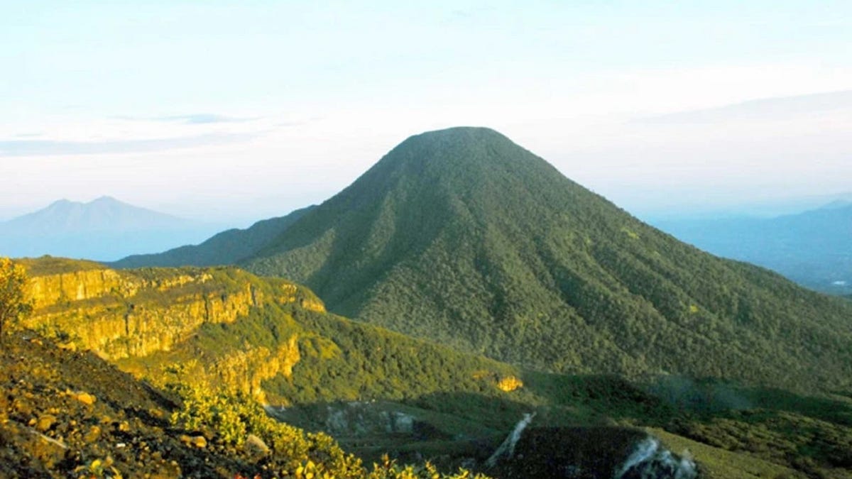 Mount Gede-Pangrango-The Beautiful National Park in West Java ...