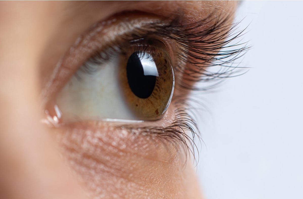 Eye to I Reflections. Exploring the depths of the human eye | by Econ ...