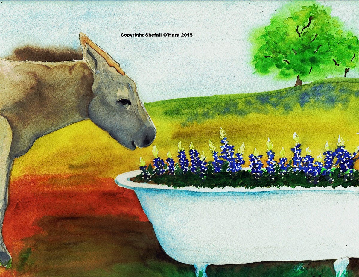 Buying Hyacinths. Lessons from Poetry for the Soul | by Shefali O'Hara ...