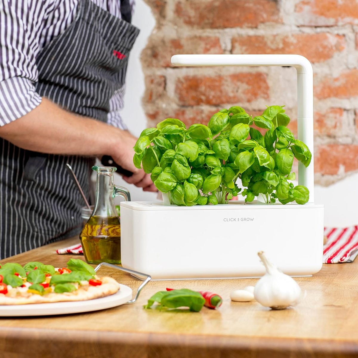 Planters 101: Choosing, Styling and Caring for Green Delights | by ...