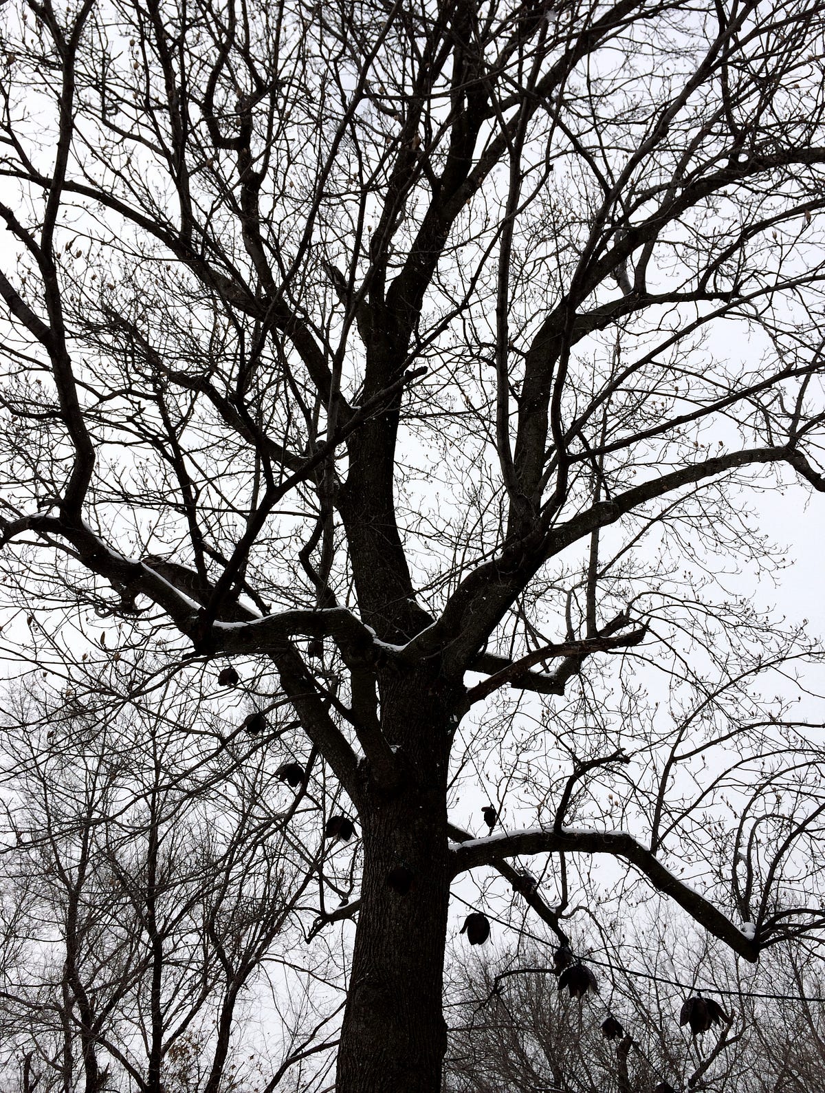 Grace. Measure of a Melody | by Melody Fritson | Medium