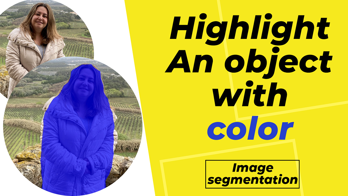 How to Highlight Object in Image with MediaPipe and Python | by Eran Feit | Image Segmentation ...